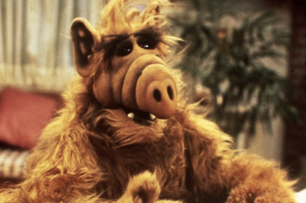 ALF to return? - Accessreel.com