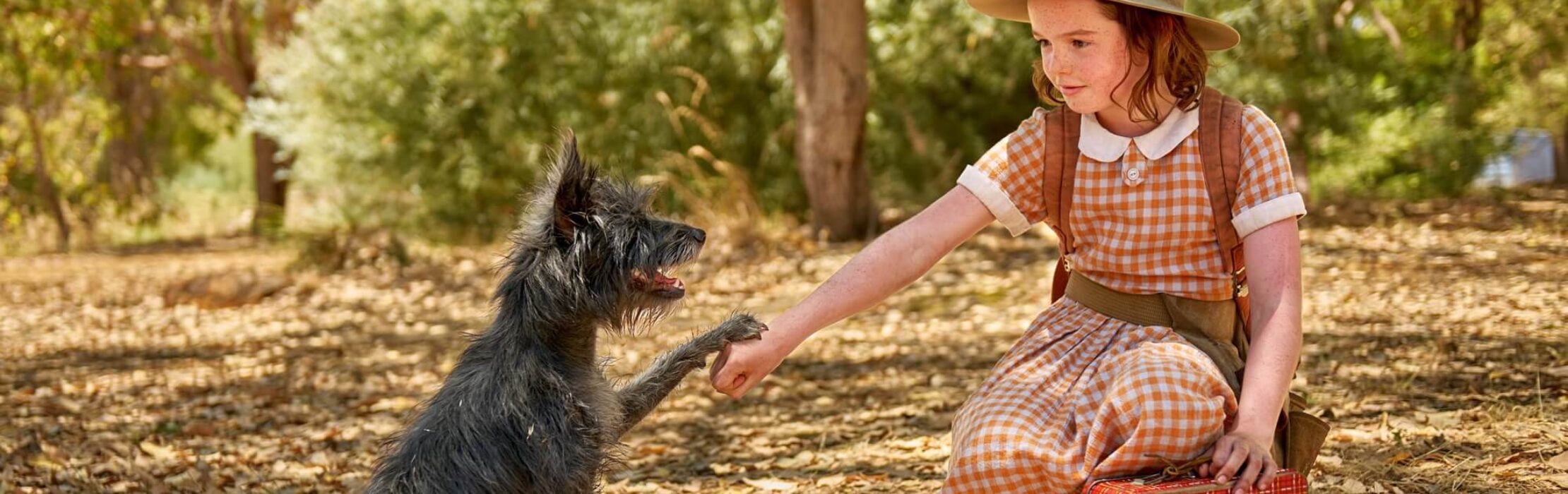 Home - Accessreel.com